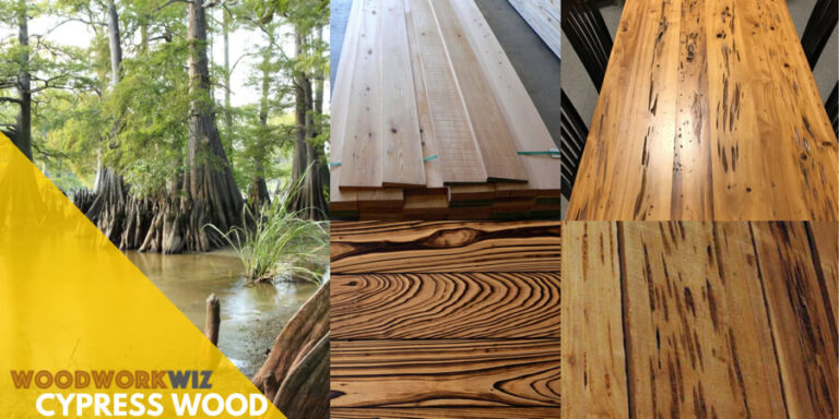 Is Cypress A Hardwood or Softwood? - WoodworkWiz.Com