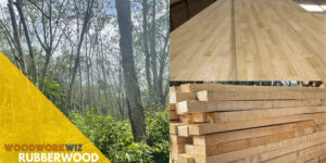 Rubberwood Furniture Advantages and Disadvantages - WoodworkWiz.Com